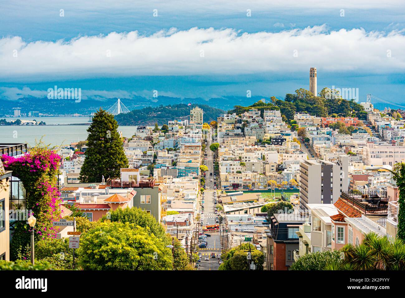San Francisco city view with Coit tower Stock Photo - Alamy