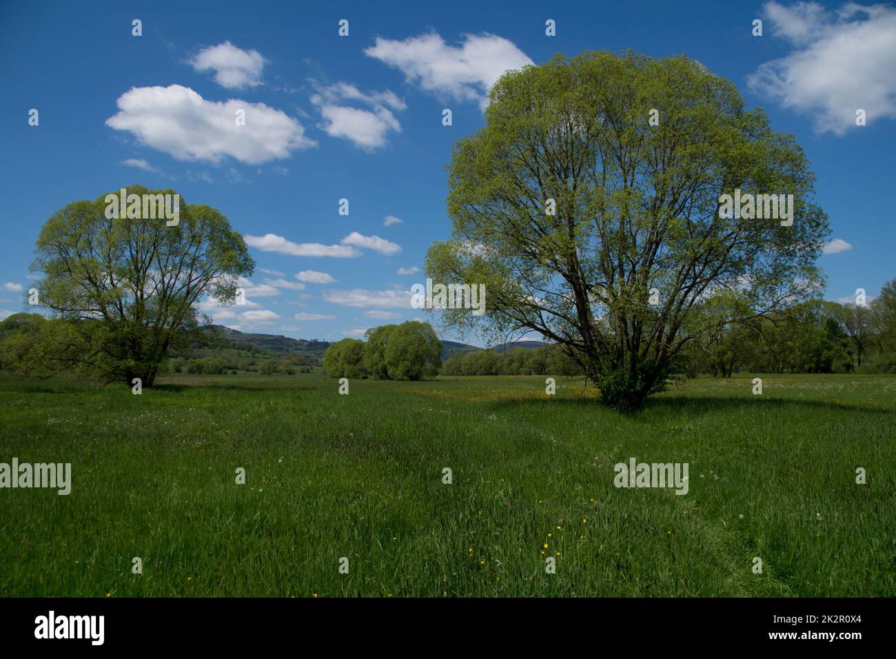 Landscape view near the german village called Hallenberg Stock Photo ...