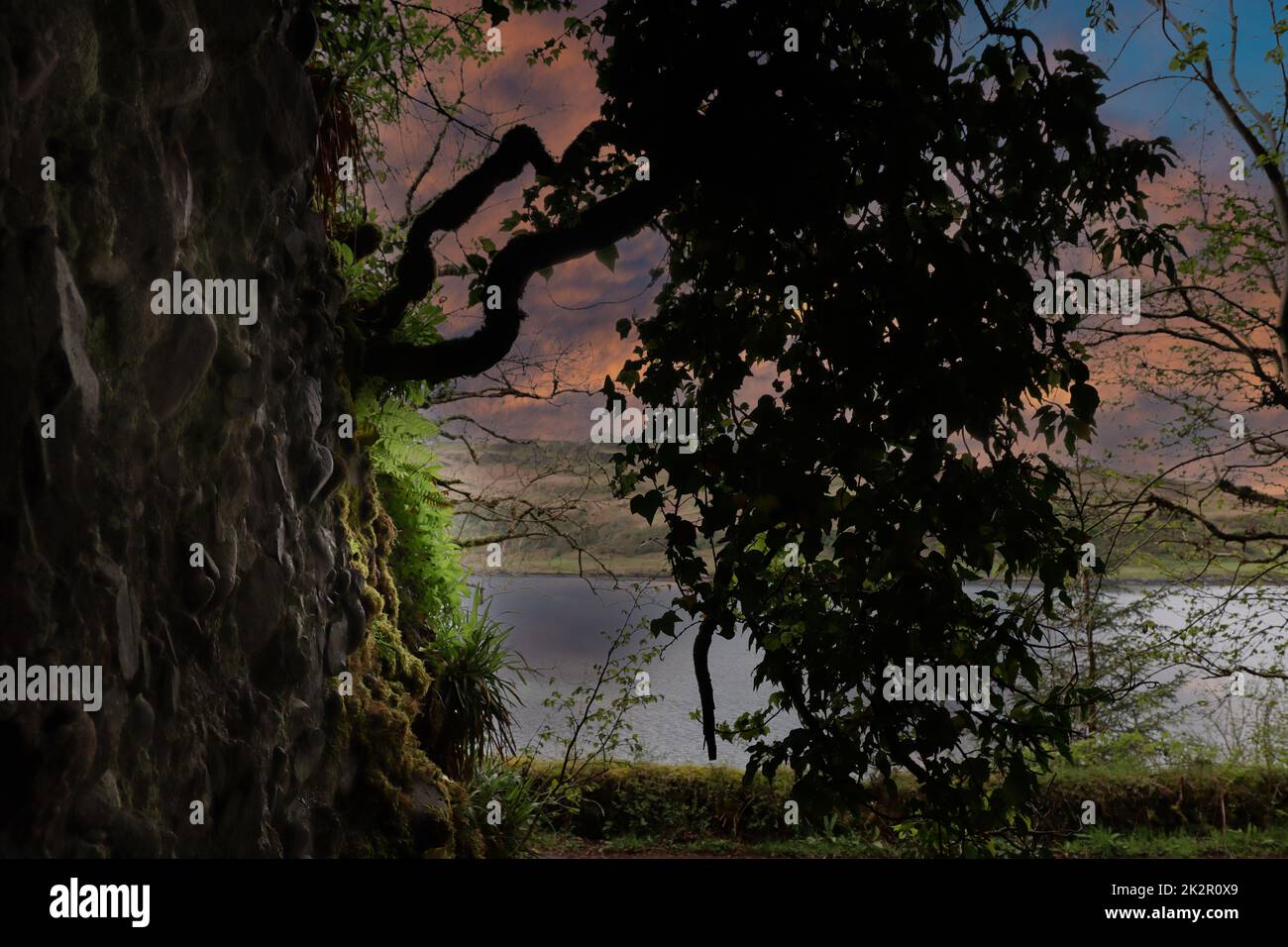 View from a cave through over hanging tree to the Sound Of Kerrera ...