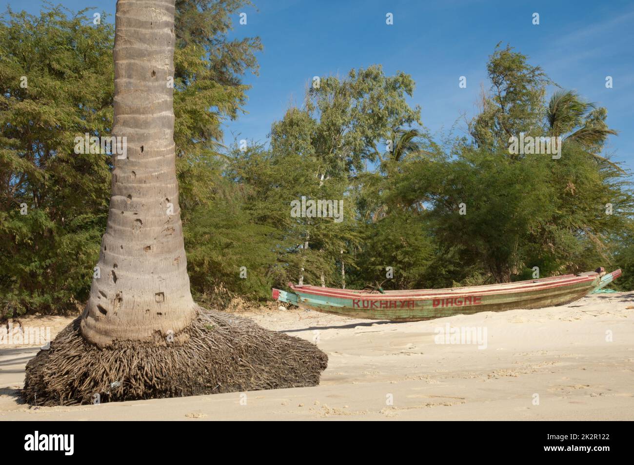 Fishing boat and trunk of coconut tree Stock Photo - Alamy