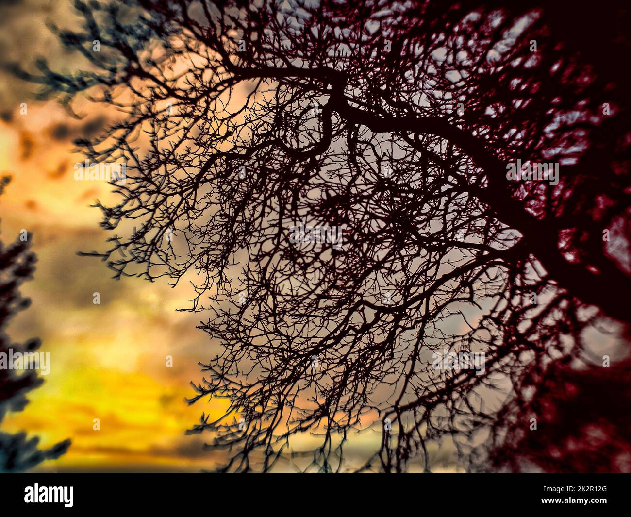 Art inspired death on hi-res stock photography and images - Alamy