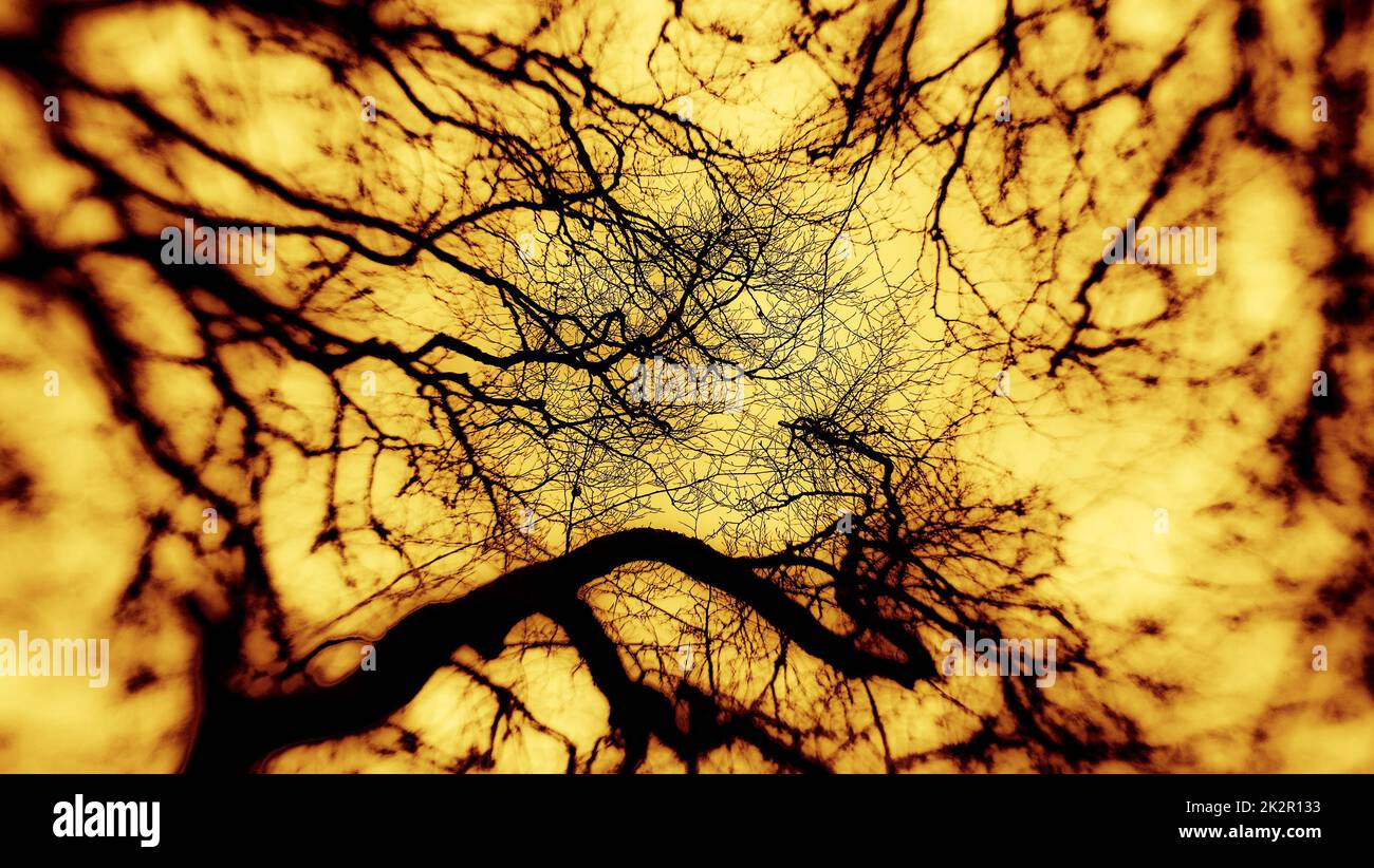 Art inspired death on hi-res stock photography and images - Alamy