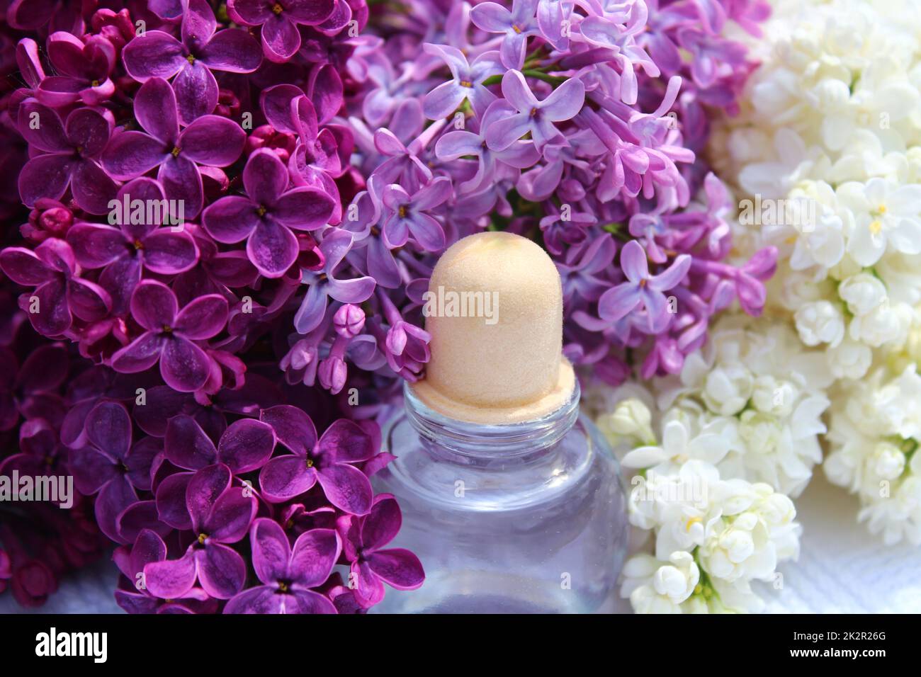 lilac perfume and different kinds of lilac Stock Photo - Alamy