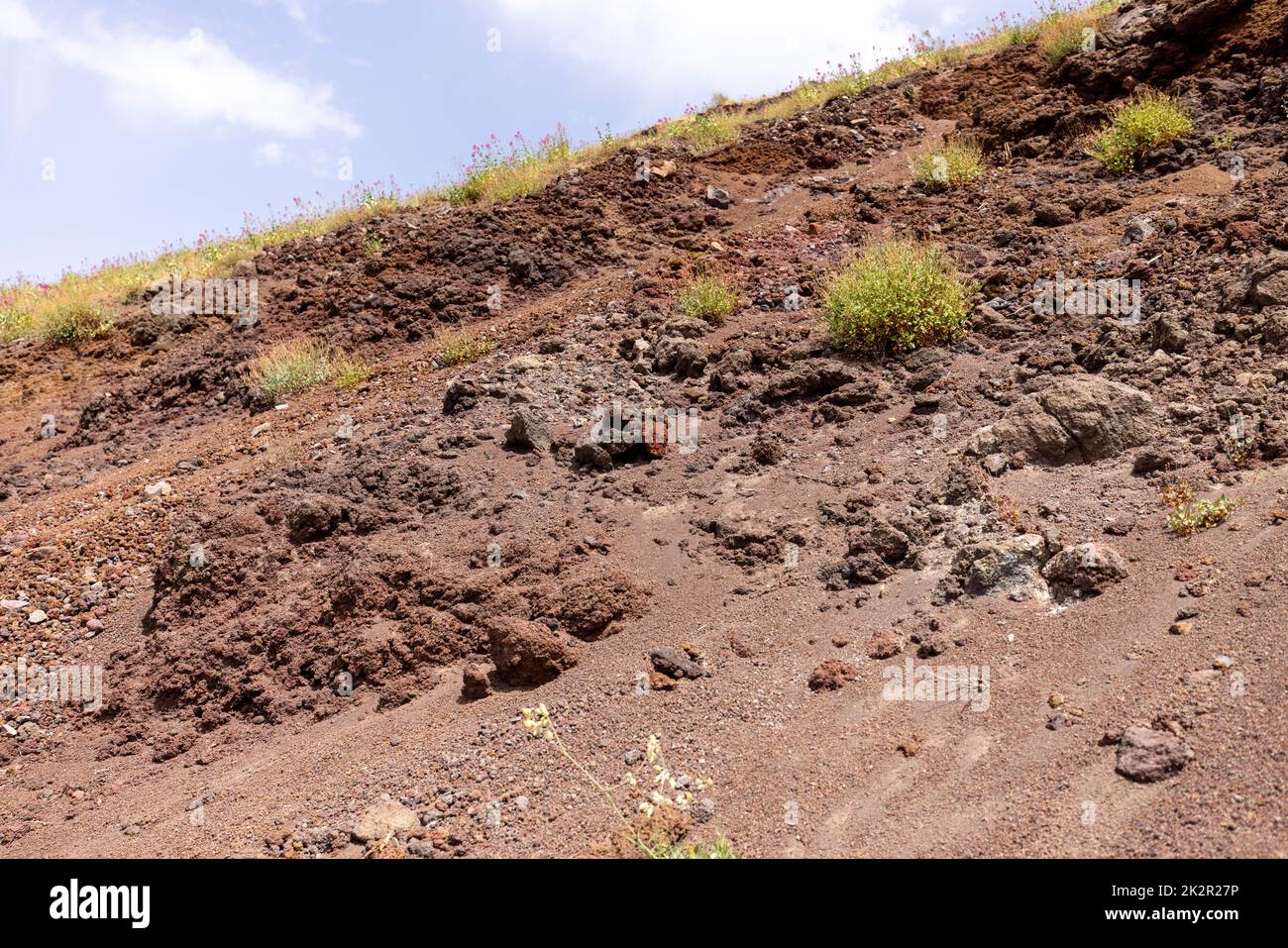 The slope of Mount Vesuvius volcano, the eruption of which destroyed ...