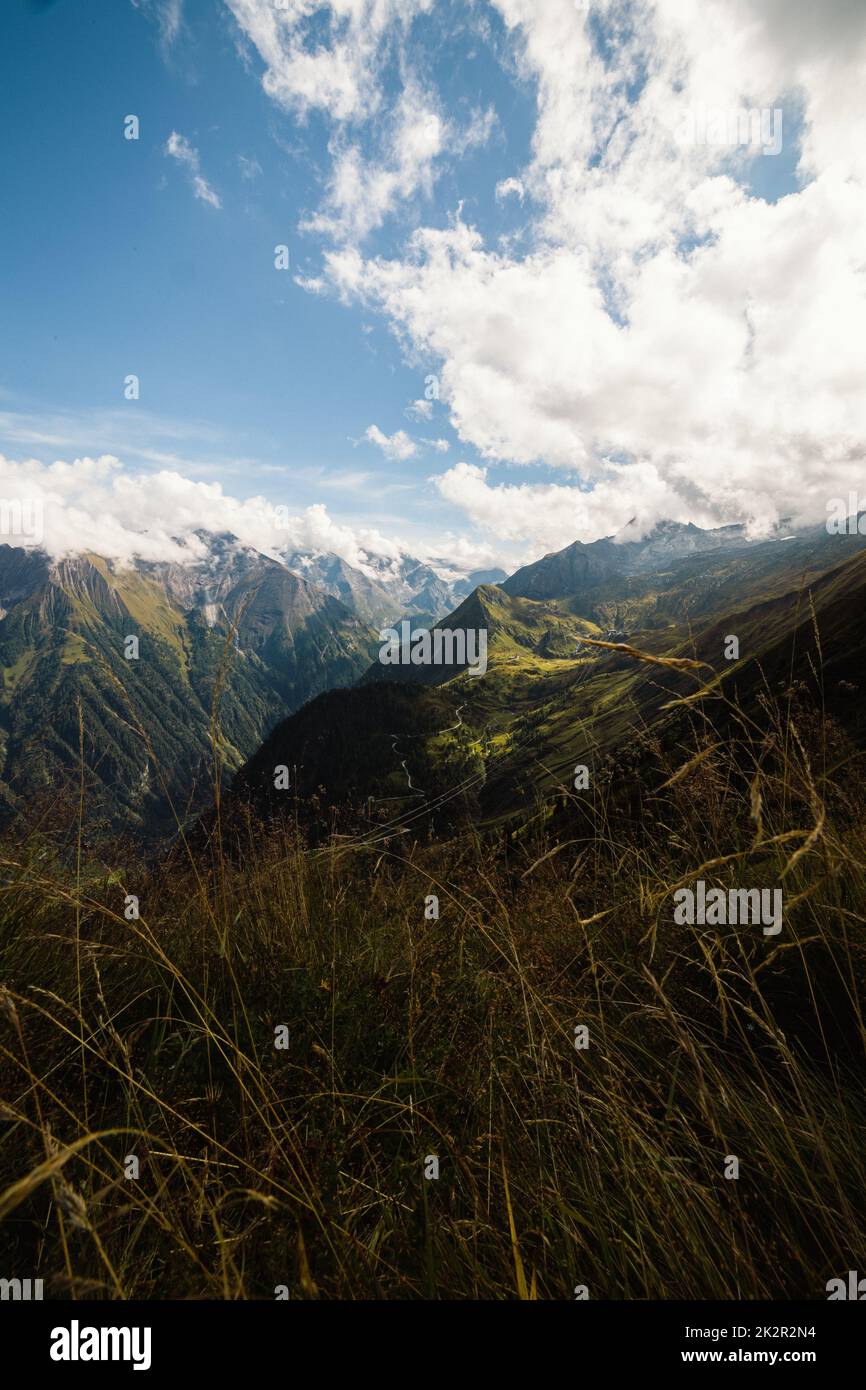 A vertical shot of a Mountain Austrian alps with green grass and snow ...