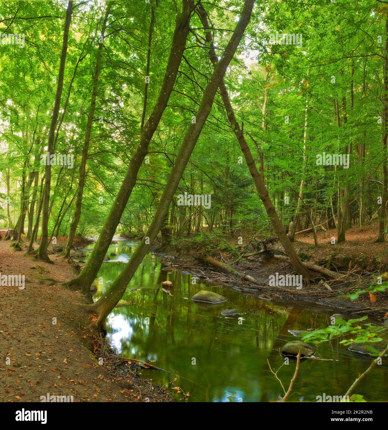 This river brings life to the ecosystem. a river running through a ...