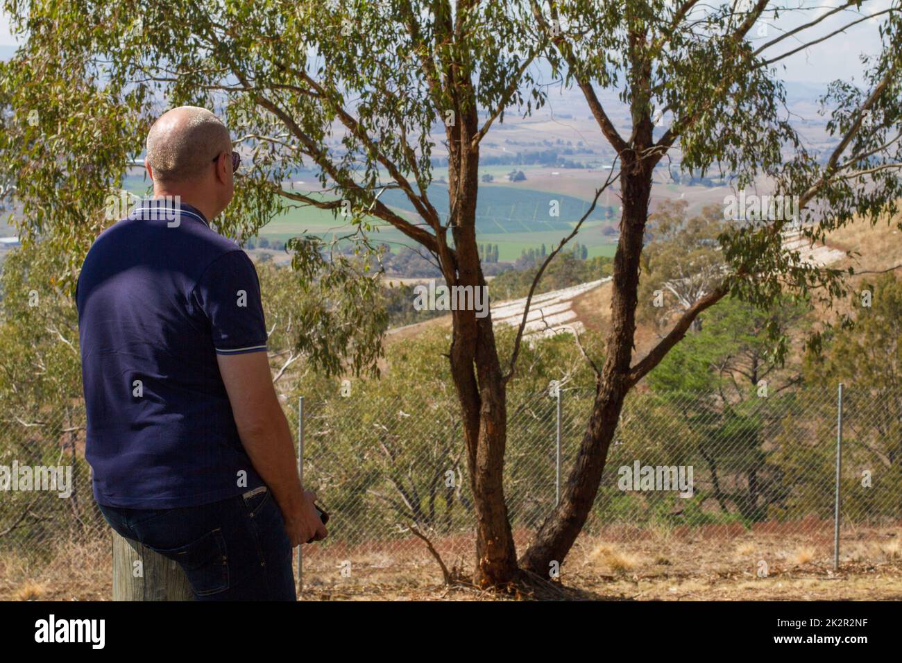 A back view of senior man sitting on tree stump under green tree in a ...