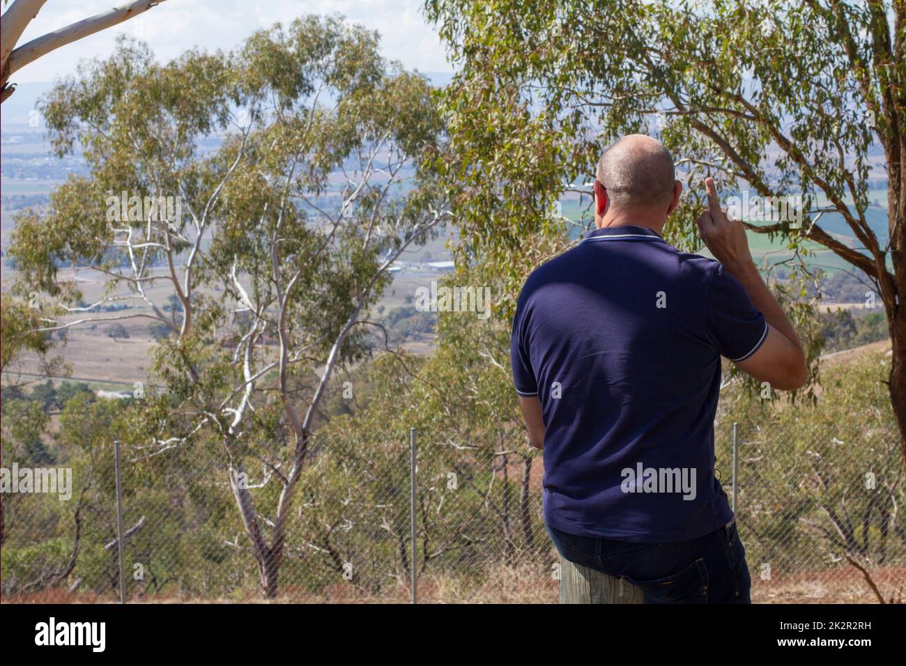 A back view of senior man sitting on tree stump under green tree ...