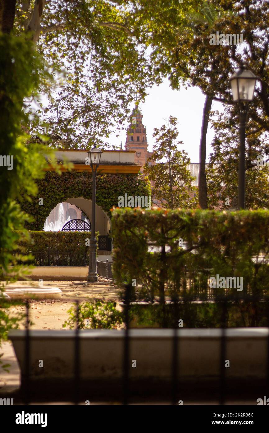 A park gate in distance surrounded with flowers and green leaves ...