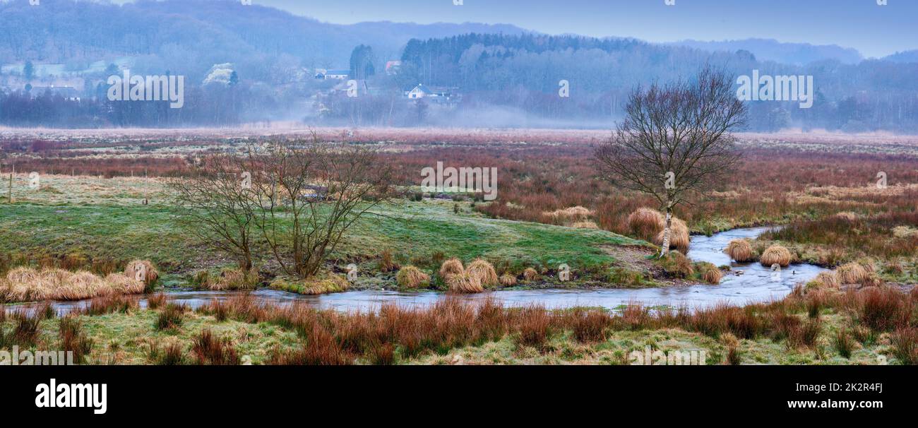 Danish wetland - Rebild National Park. Morning nature - marsh land. A ...