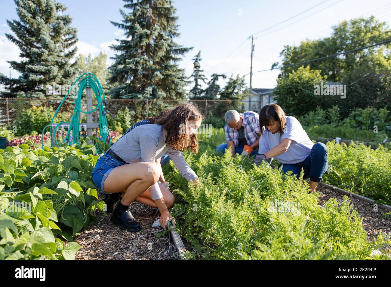 Community family hi-res stock photography and images - Alamy