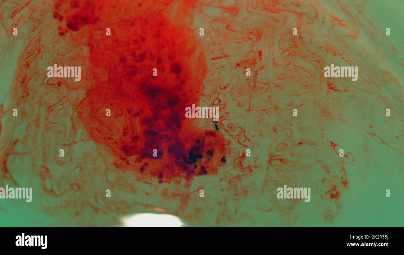 Blood Drops Flowing In Water Stock Photo - Alamy