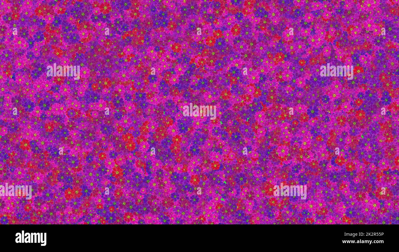 Many red and blue flowers background Stock Photo - Alamy