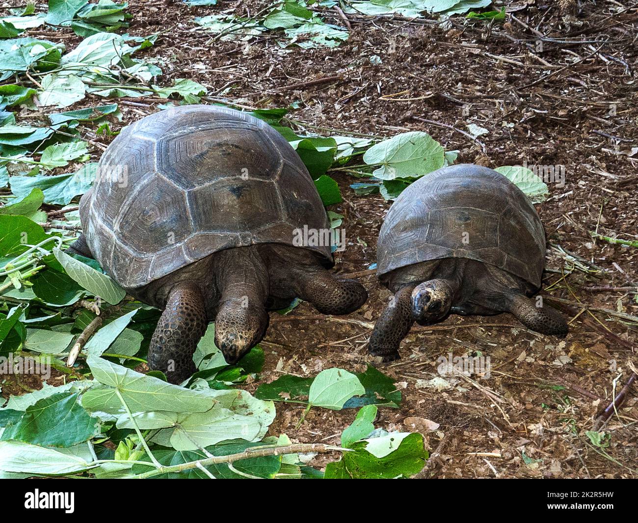Seychelles - Curieuse Island, Parc Marine National de Curieuse ...