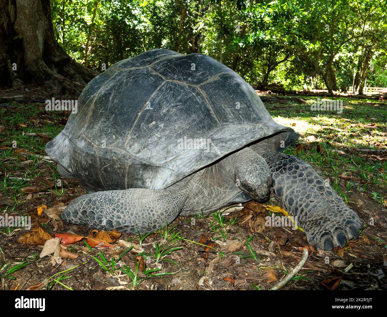 Seychelles - Curieuse Island, Parc Marine National de Curieuse ...