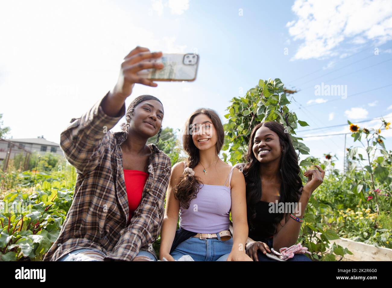 Community taking hi-res stock photography and images - Alamy