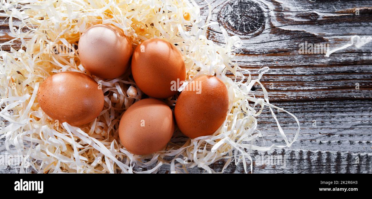 Composition with six chicken eggs on wood Stock Photo - Alamy