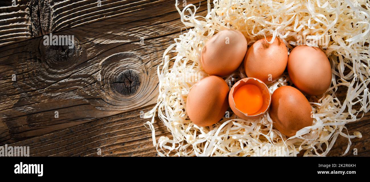 Chicken composition hi-res stock photography and images - Alamy