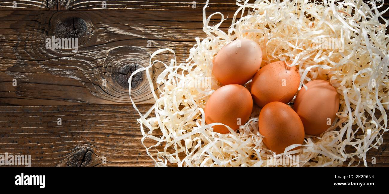 Composition with five chicken eggs on wood Stock Photo - Alamy