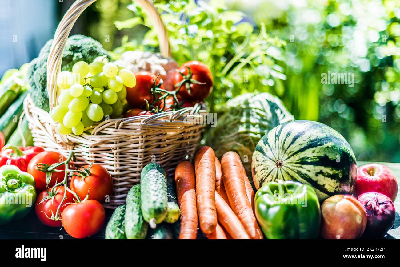 Variety of fresh organic vegetables and fruits in the garden Stock ...