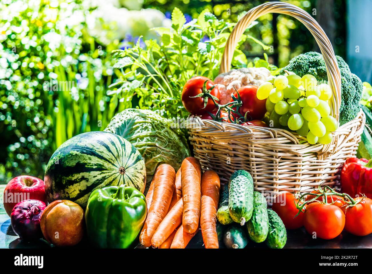 Variety of fresh organic vegetables and fruits in the garden Stock ...