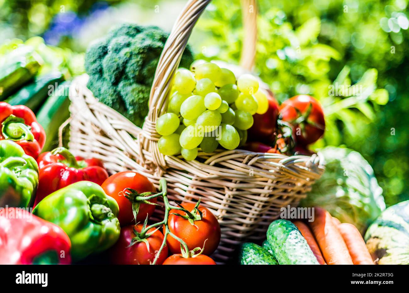 Variety of fresh organic vegetables and fruits in the garden Stock ...