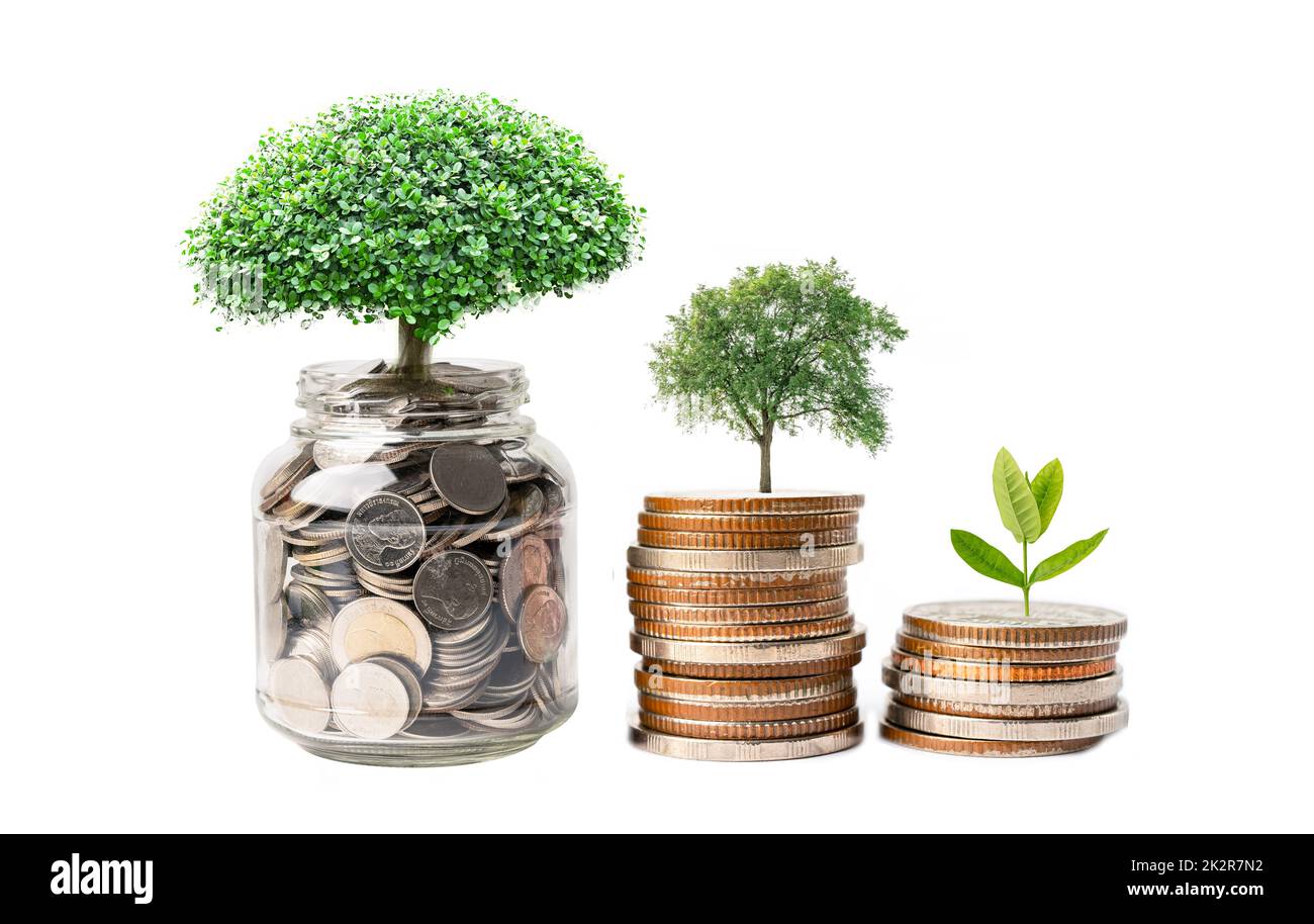Tree on save money coins in grass jar, Growth business finance saving ...