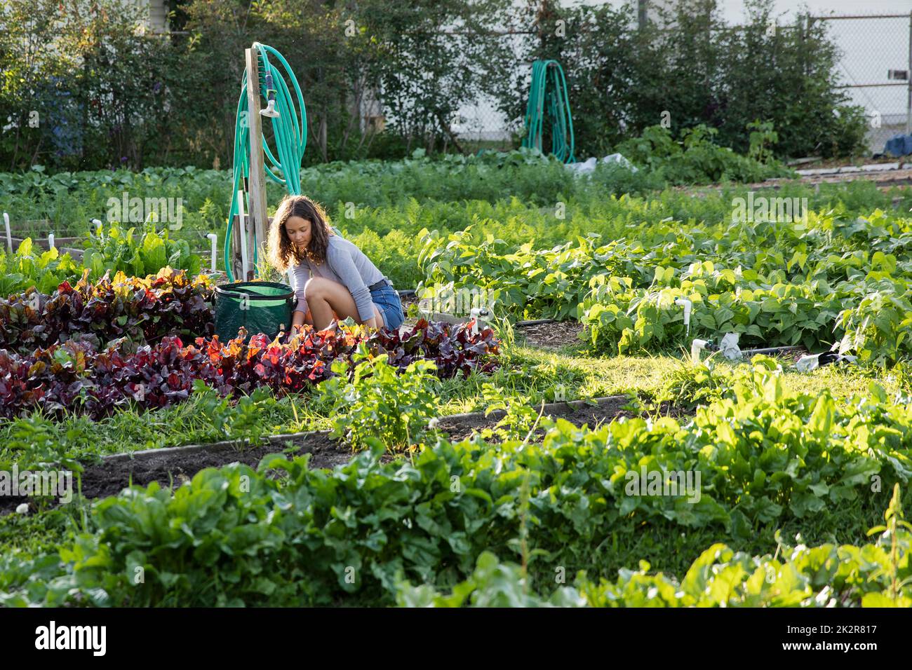 Portrait of girl working in community garden Stock Photo - Alamy