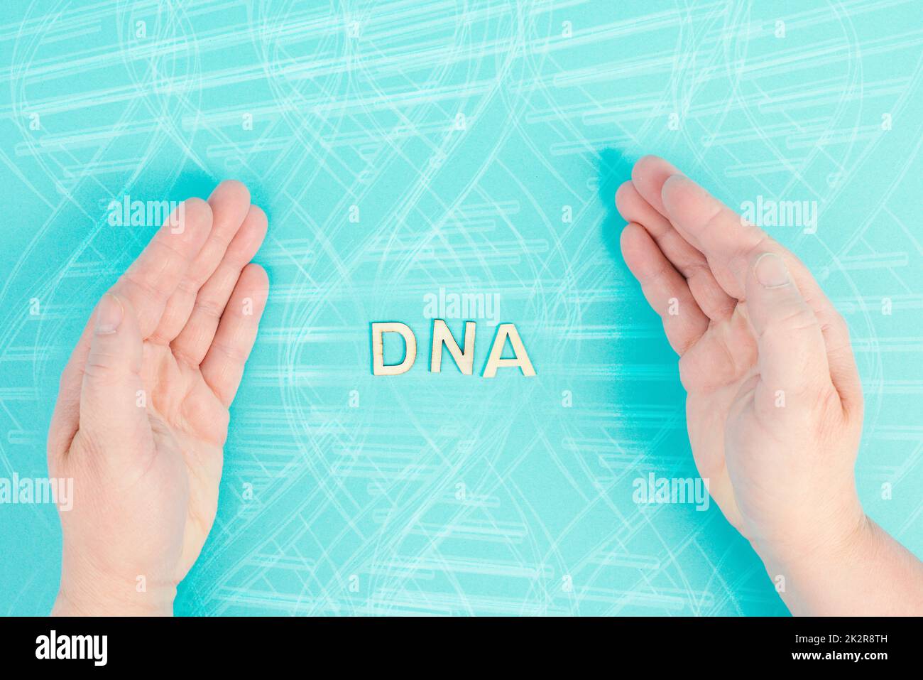the word DNA is standing between the hands, genetic therapy and ...