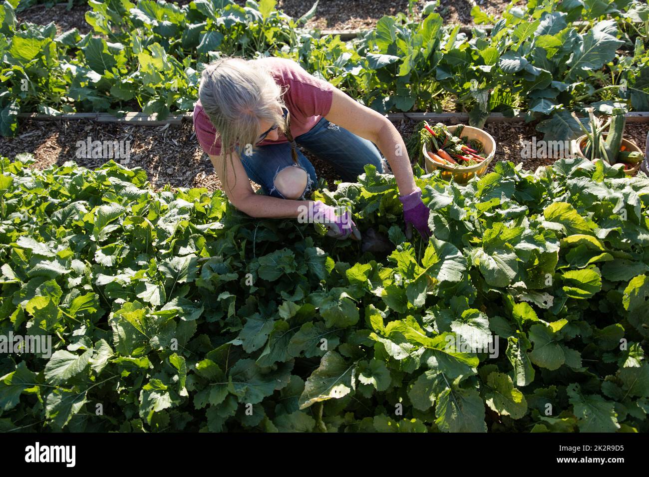 Overhead environment hi-res stock photography and images - Alamy