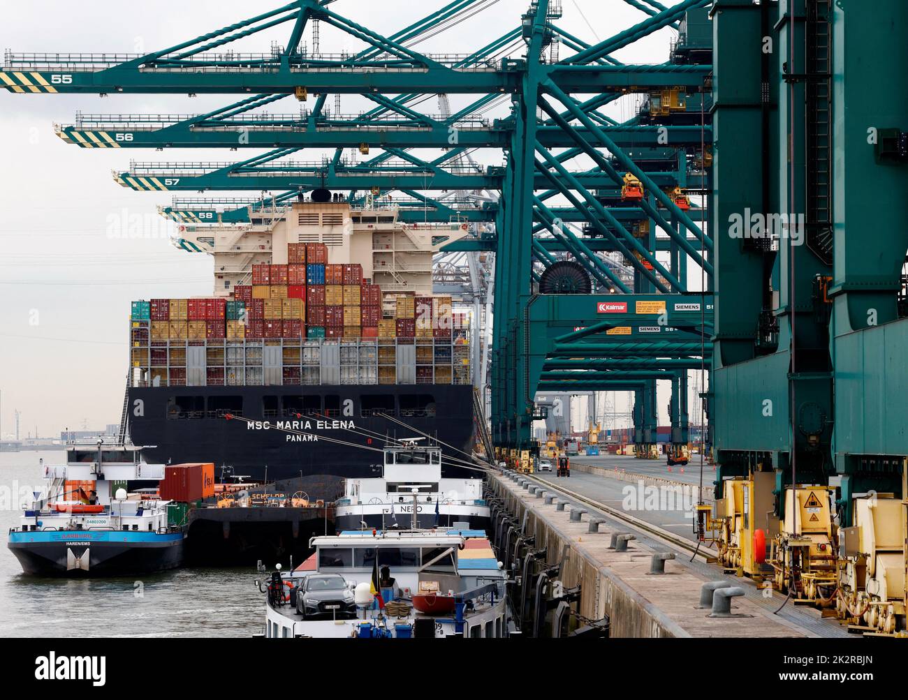 Msc maria elena hi-res stock photography and images - Alamy