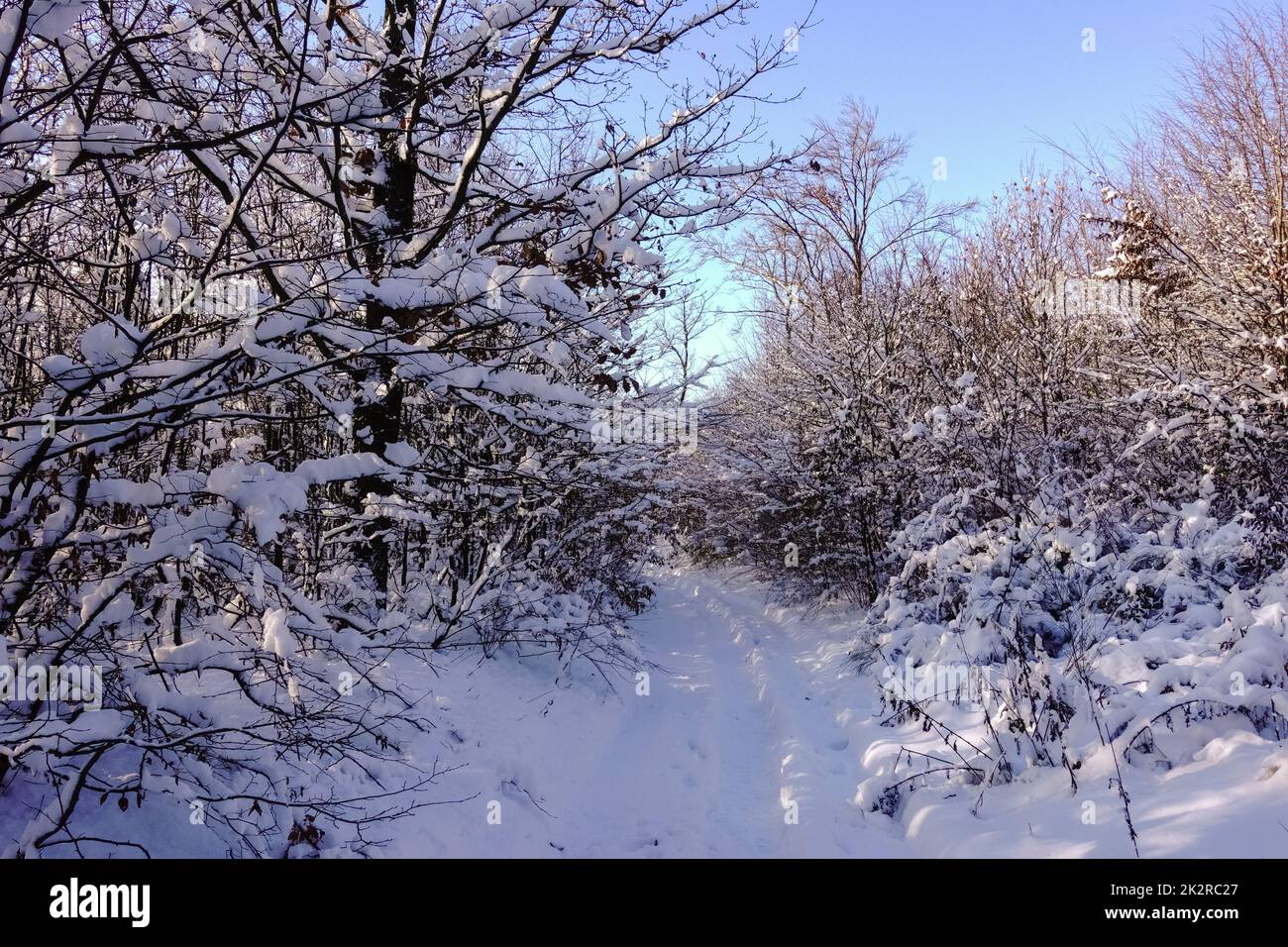 Path with sun hi-res stock photography and images - Alamy