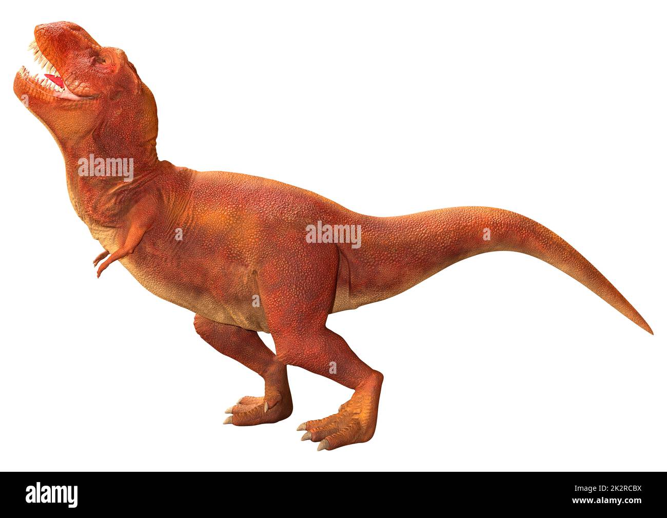 3D Rendering Tyrannosaurus Rex on White Stock Photo - Alamy