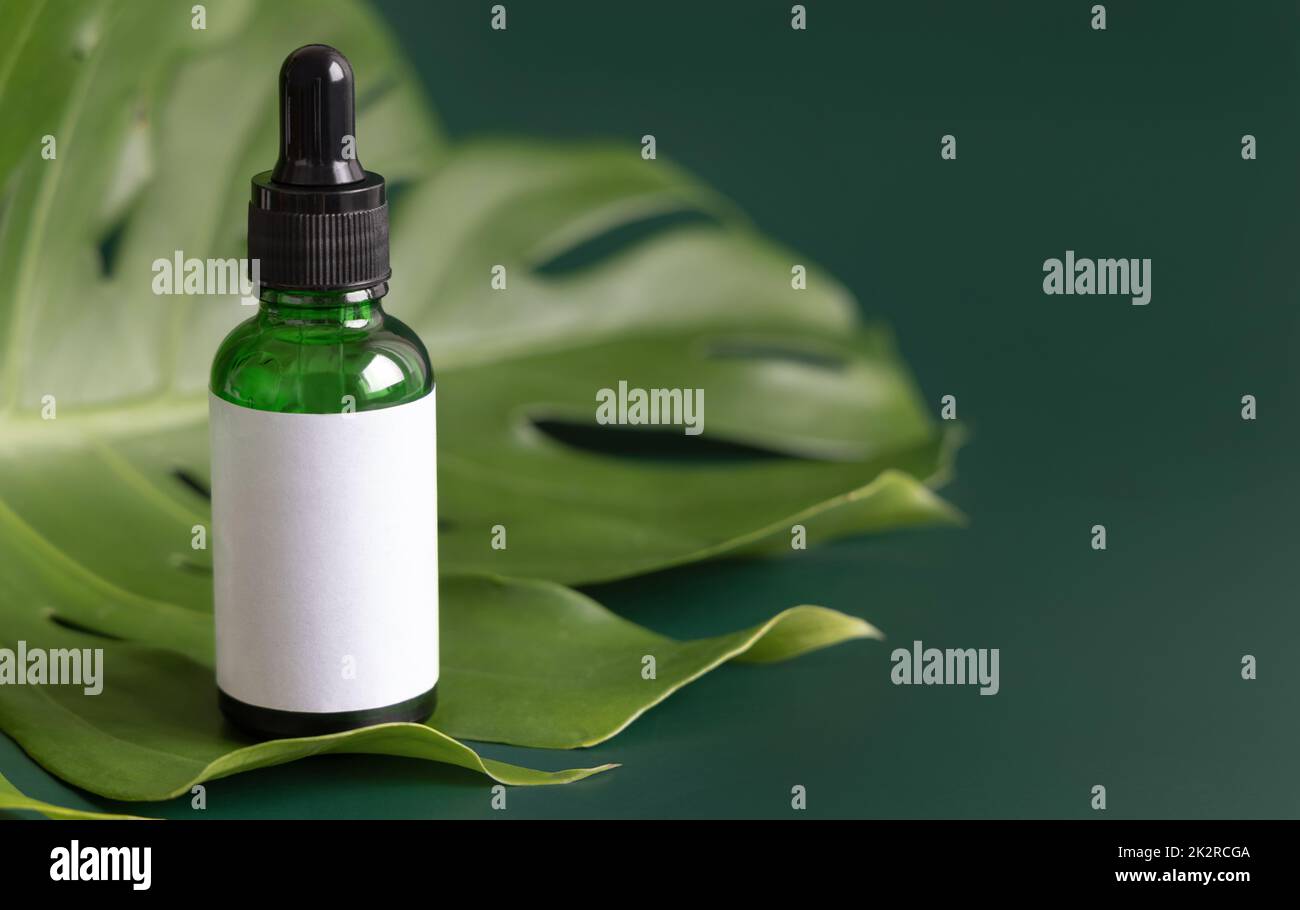 Dropper Bottle on monstera leaf on green table close up. Brand ...