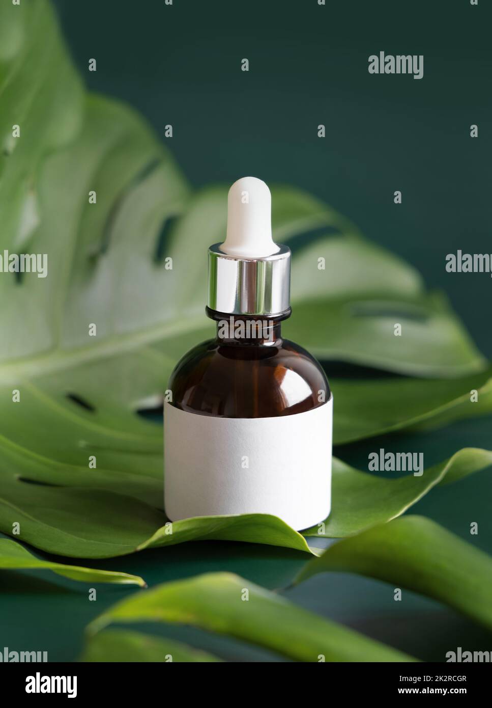 Dropper Bottle on monstera leaf on green table close up. Brand ...