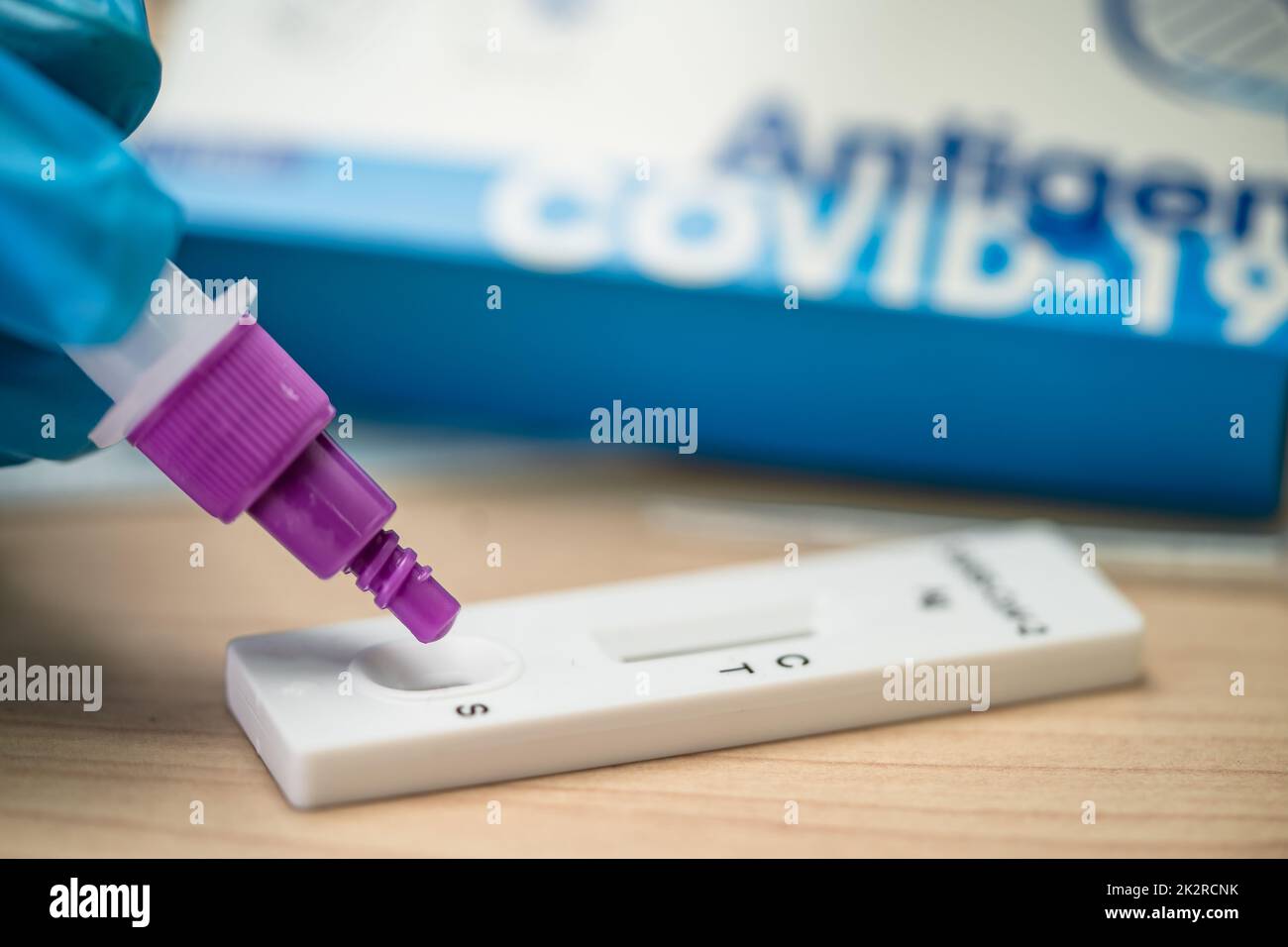 Set of Saliva Antigen Test Kit for check Covid-19 coronavirus use in ...
