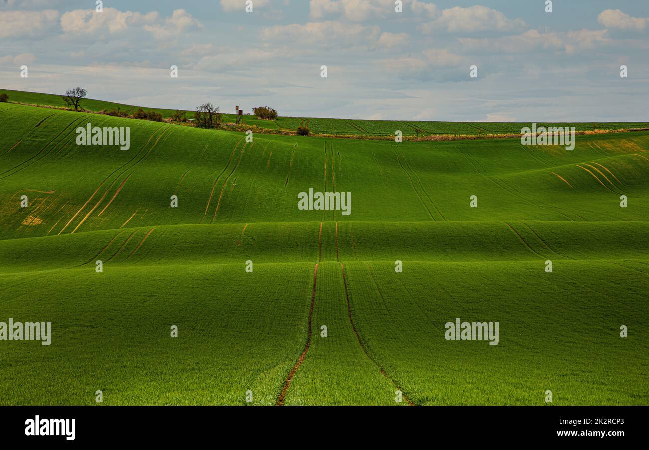 Day grass hi-res stock photography and images - Alamy