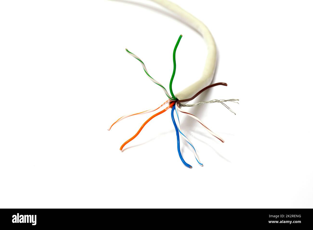 Cut up white network cable or patch cable in cross section Stock Photo ...