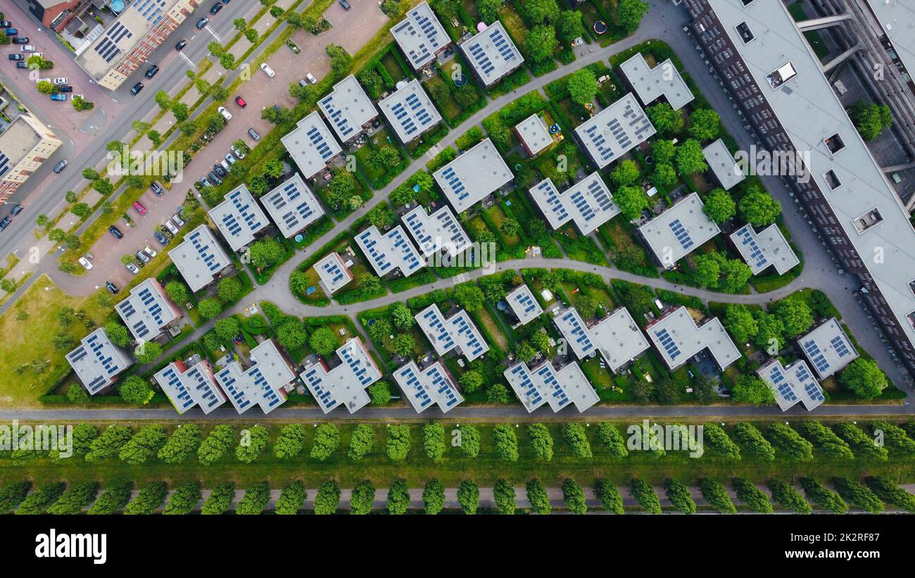 A bird's eye view of a lovely neighborhood with lush green trees ...