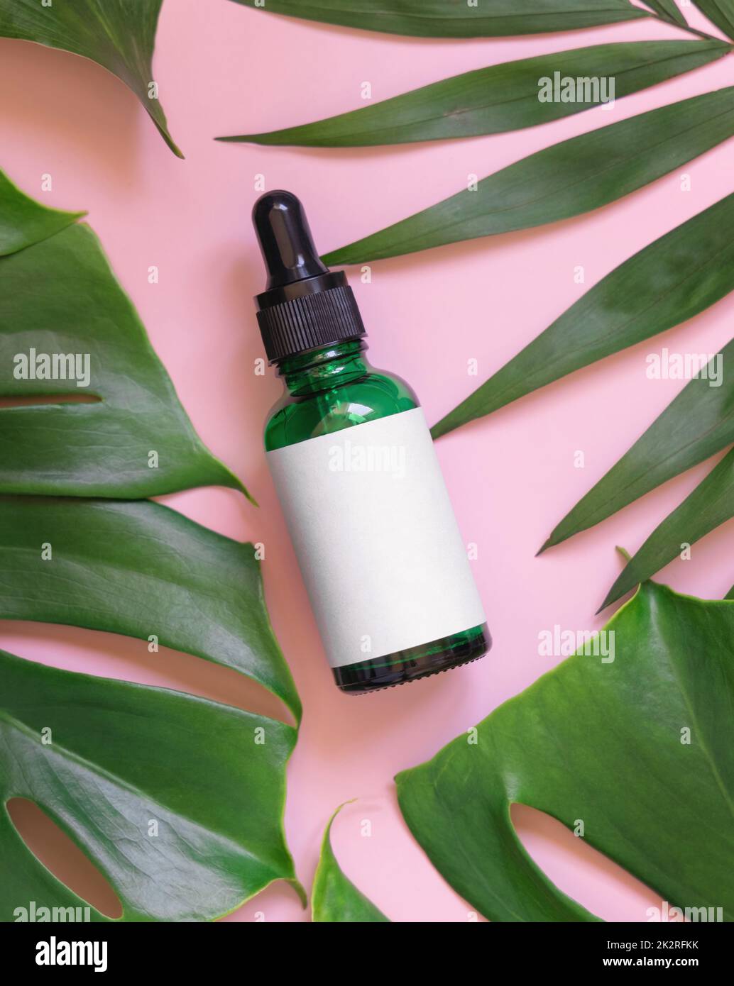 Green Dropper Bottle between tropical leaves on pink top view. Brand ...