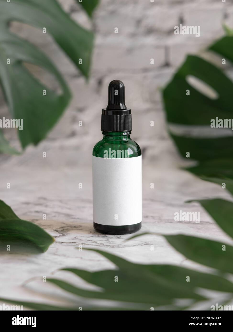 Dropper Bottle on monstera leaf on marble table close up. Brand ...