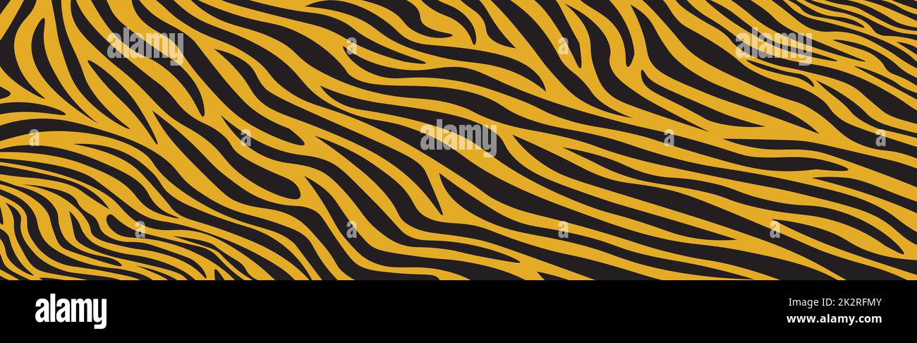 Panoramic texture of fur skin of Bengal tiger - Vector Stock Photo - Alamy