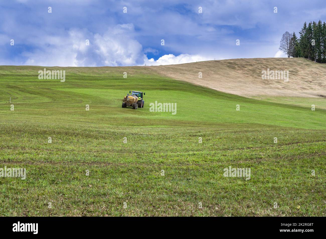 Spreading liquid manure on the meadow Stock Photo - Alamy