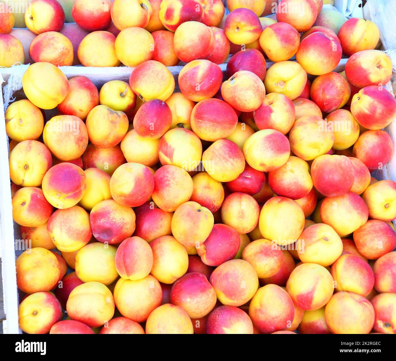 Ripe Nectarines (Latin Prunus persica) of the new harvest Stock Photo ...