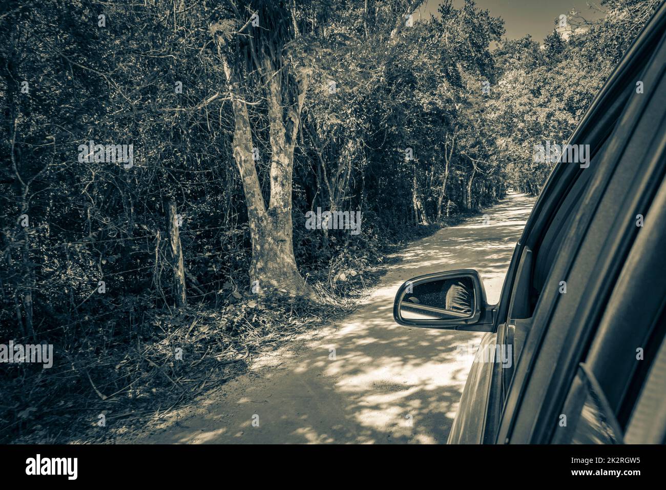 Driving on gravel path road in Tulum jungle nature Mexico Stock Photo ...