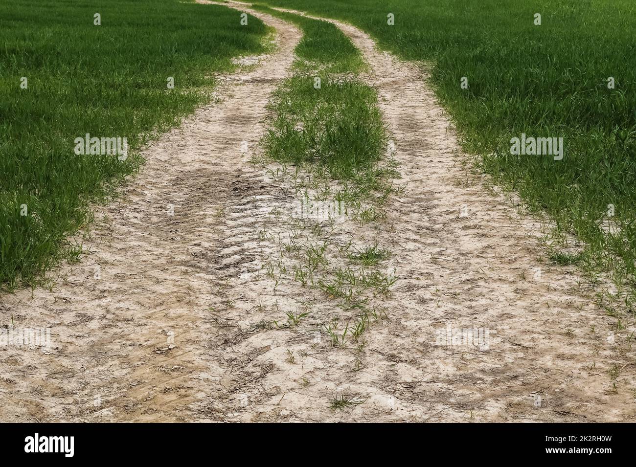 Close up view on dry agricultural field grounds with cracks and tracks ...
