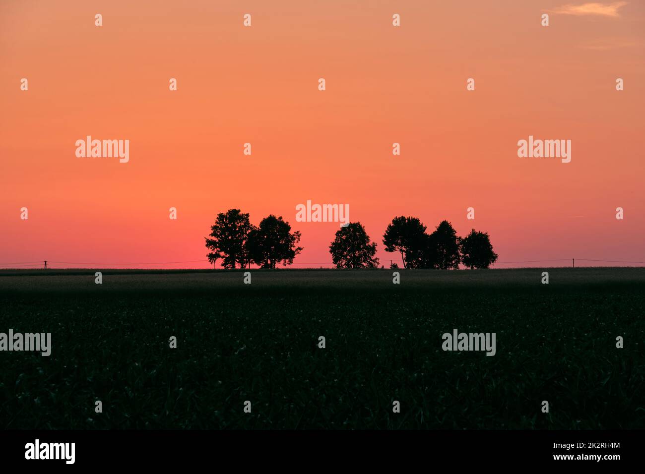 Rye spring hi-res stock photography and images - Alamy