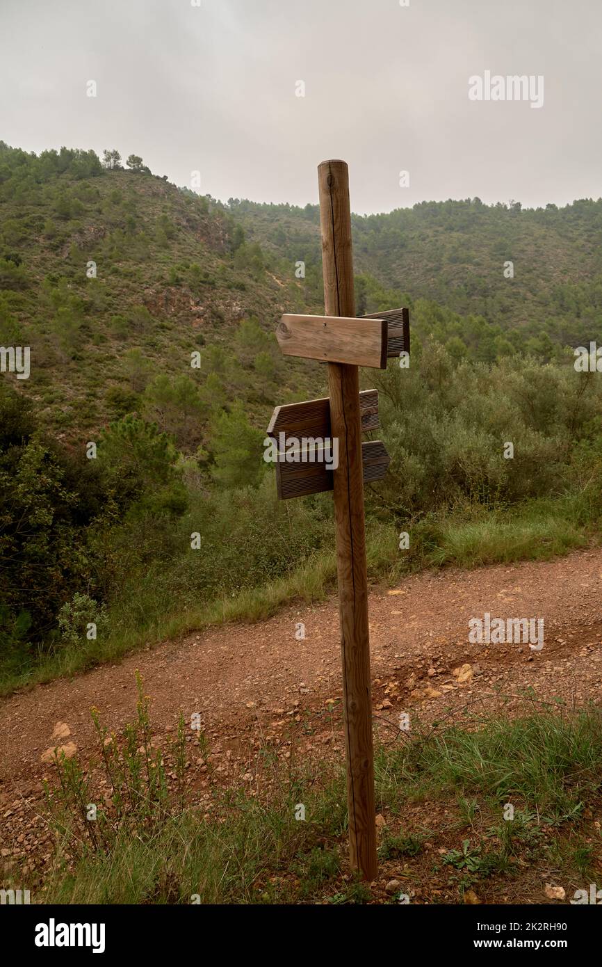 Wooden post with signposts in the forest Stock Photo - Alamy
