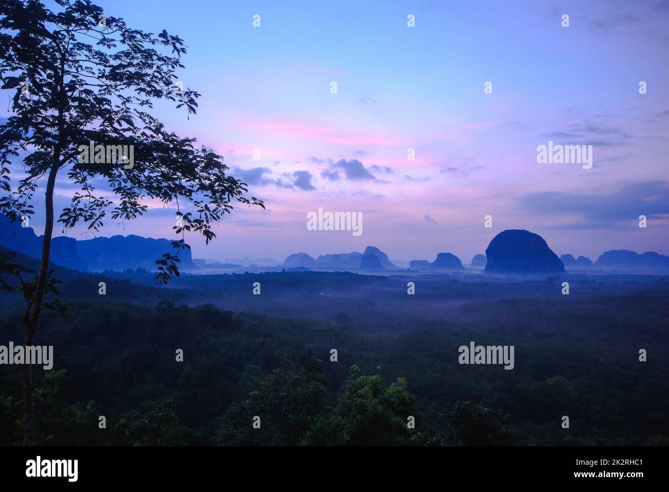 The sun is rising above the top of the tree Stock Photo - Alamy