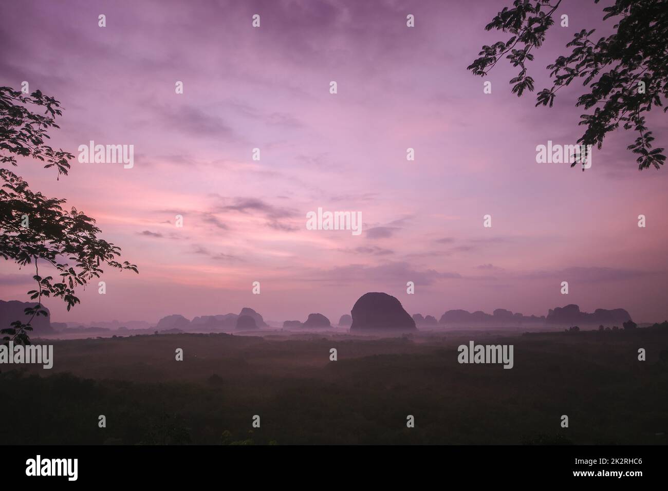The sun is rising above the top of the tree Stock Photo - Alamy